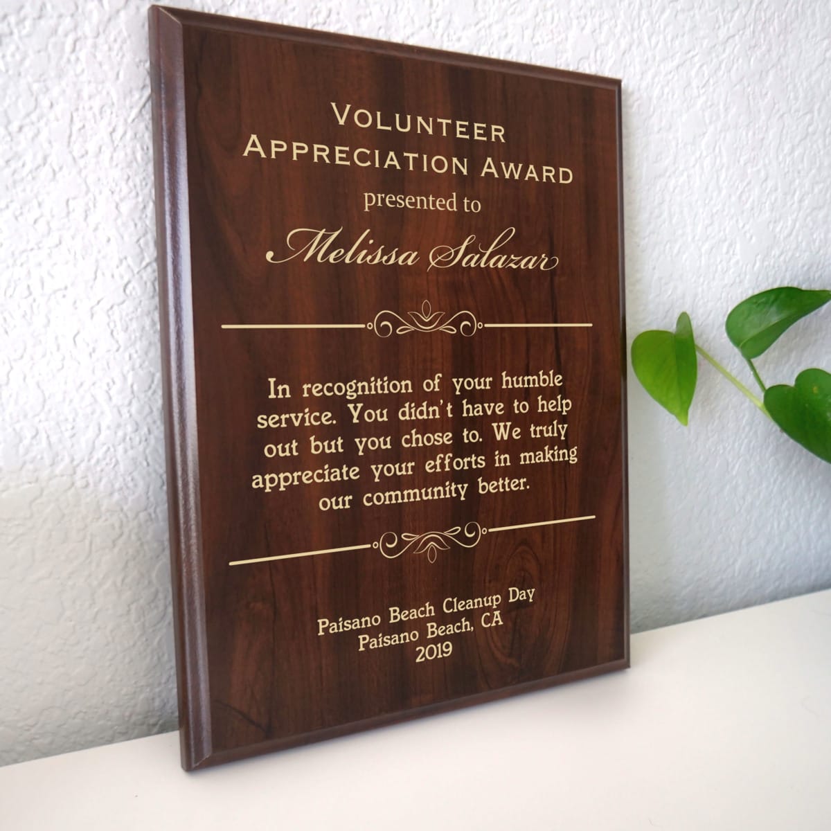 Volunteer Appreciation Gift Plaque | Volunteering Service Recognition ...